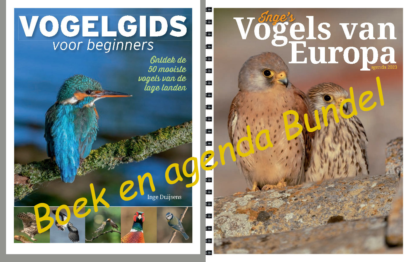 Vogels – Inge Duijsens Fotografie